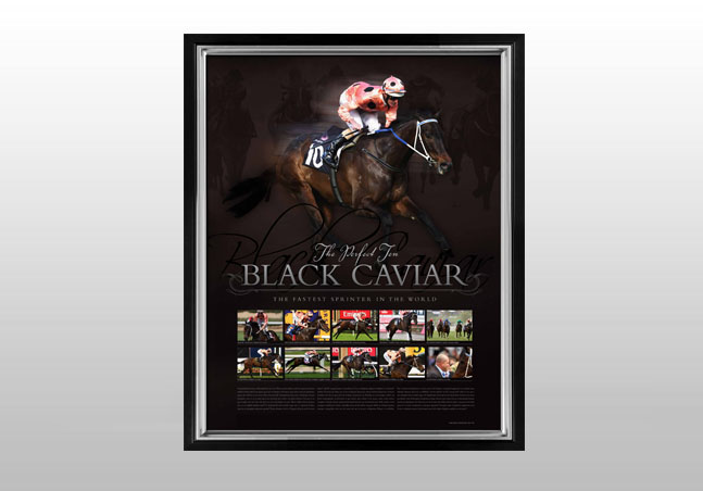 A Champion Becomes A Legend-Free Black Caviar Print with this piece ...