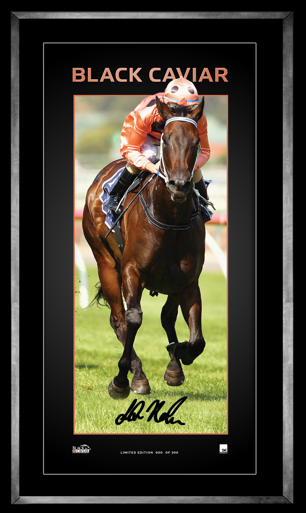 Black Caviar Vertiramic lithograph personally signed by Luke Nolan ...