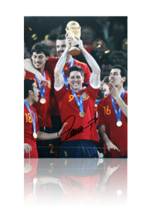 Fernando Torres signed and framed World Cup photo - Pro Sports Memorabilia