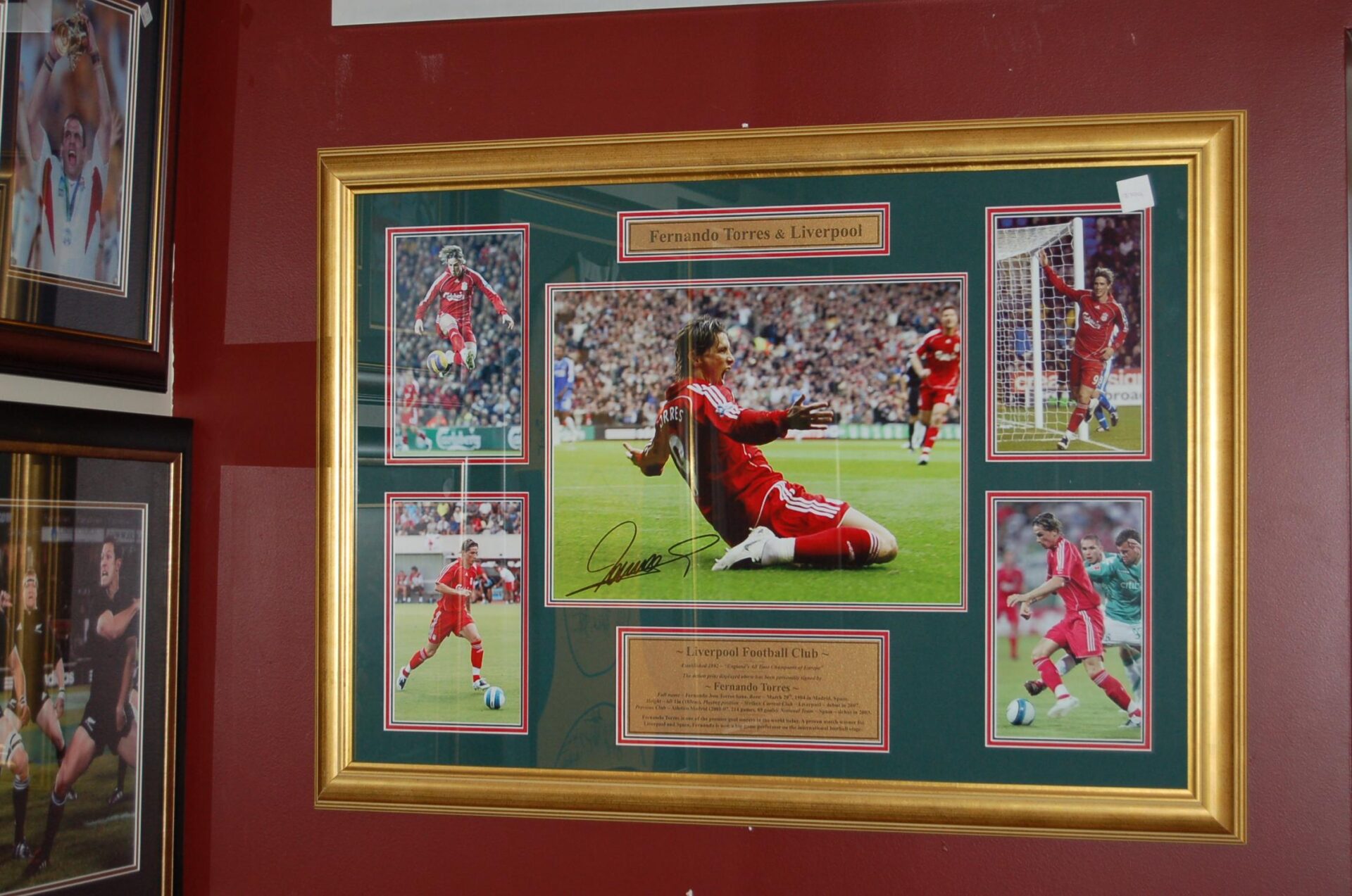 Fernando Torres signed and framed piece - Pro Sports Memorabilia
