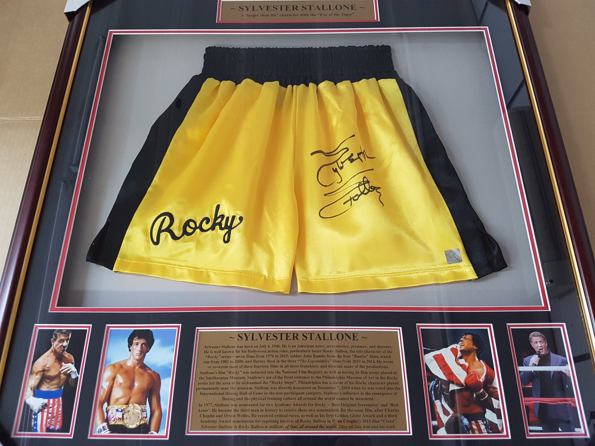 Sylvester Stallone "Rocky" personally signed and framed trunks - Pro ...