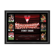 AFL Season 2016 Sydney Swans Super Frame - Pro Sports Memorabilia