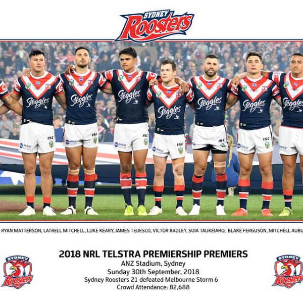 Sydney Roosters 2018 Premiership Team Panoramic framed - Pro Sports ...